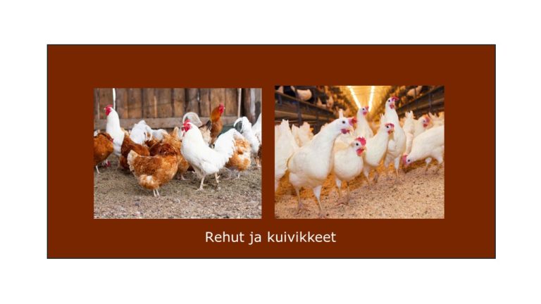 Etusivu - Rauta-Juurikkala
